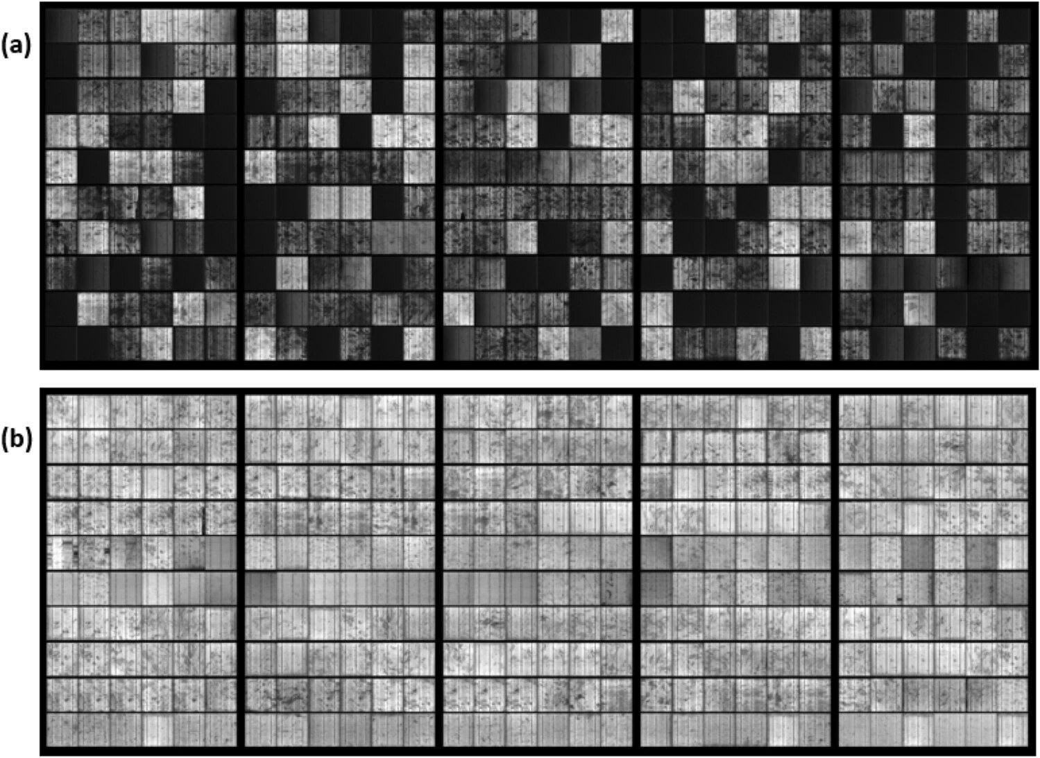 A Closer Look At Potential Induced Degradation In Solar Cells World